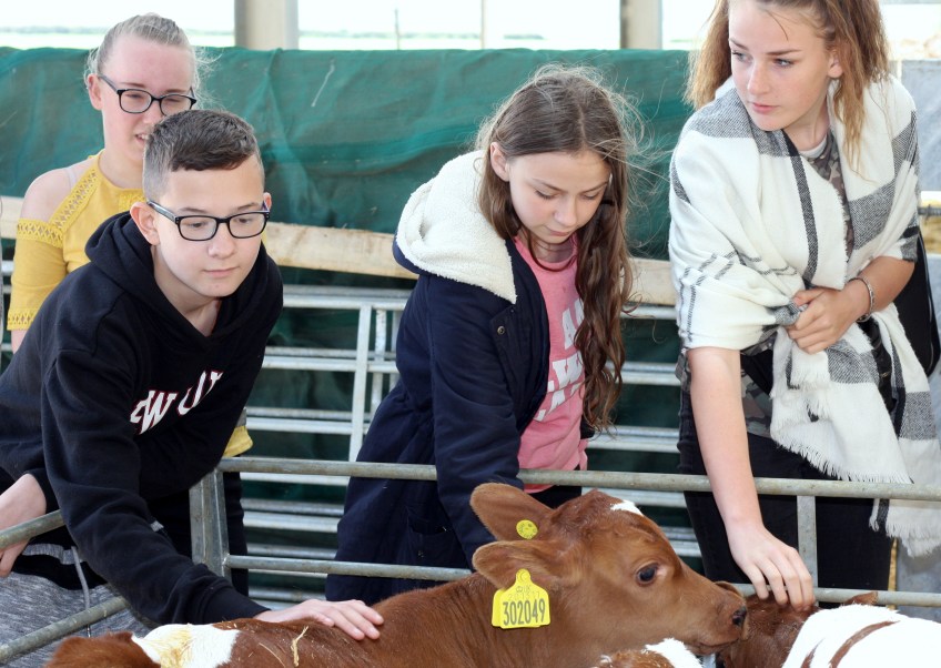 School Visits – Farmer Barnes Dairy